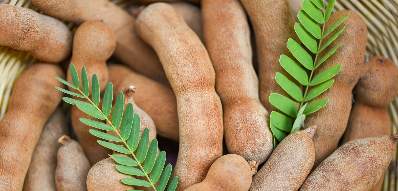 Tamarindo Flavor – Mexican Candy Store by Mexicrate